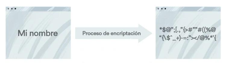 ¿Qué es la encriptación de datos, para qué sirve y cómo funciona? | Prometeo